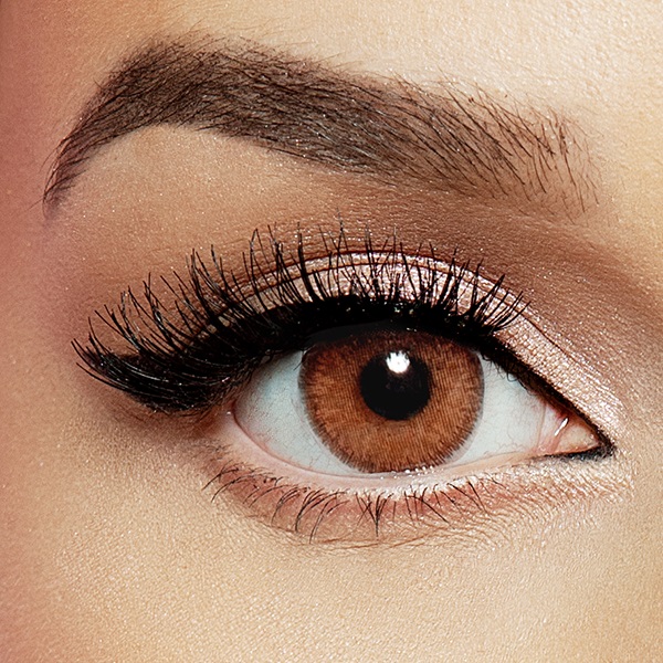 Eyewa - Layala Lenses 2 Lenses, Chocolate Brown | Mall of the Emirates